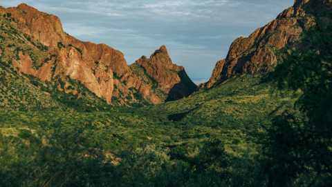 Experience Corps Volunteer Locations