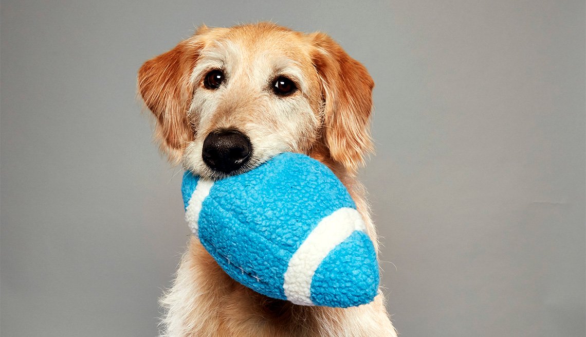 Entertainment – Famous Celebrities Over 50