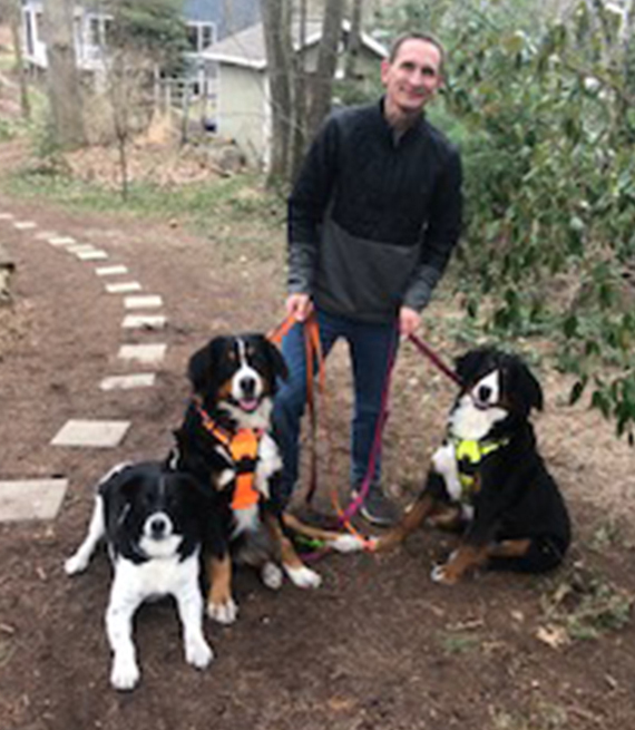 Cuida a tu perro para que no se coma las cigarras