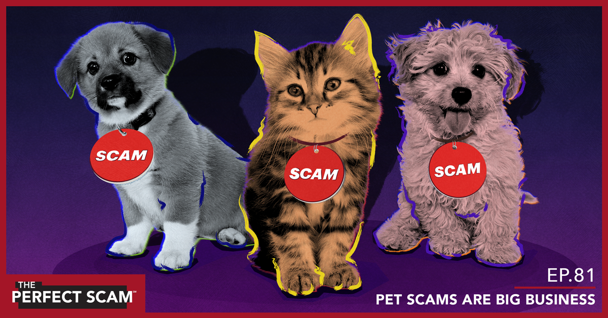 Pet Scams Are Big Business for Fraudsters