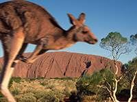 Lugares que deberías conocer en el mundo