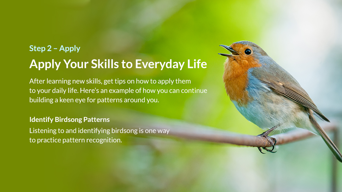 Learn How Recognizing Patterns Affects Your Brain